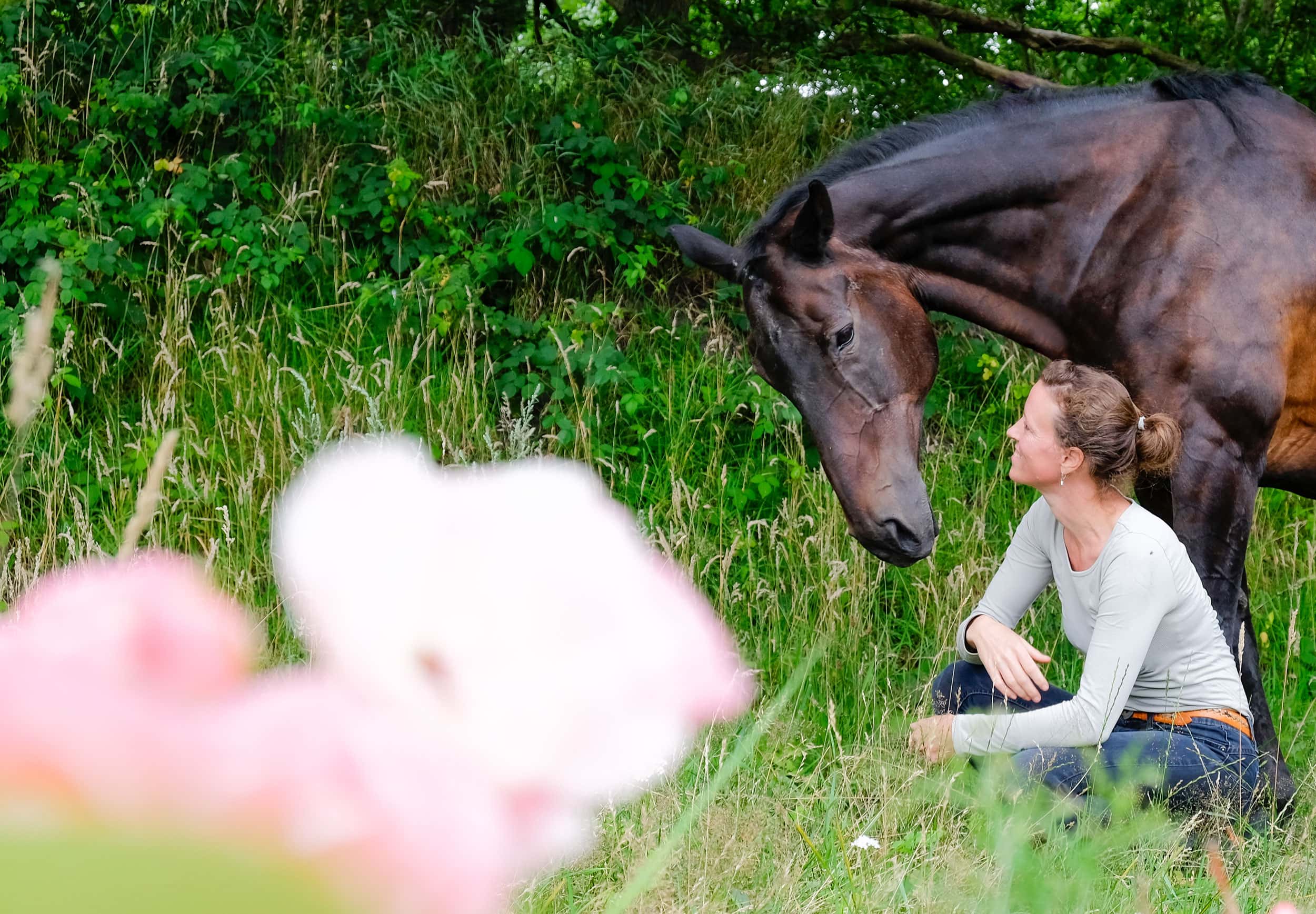 Achtsamkeitsübung für Pferd & Reiter » NANCY HEIBER Pferdetrainerin