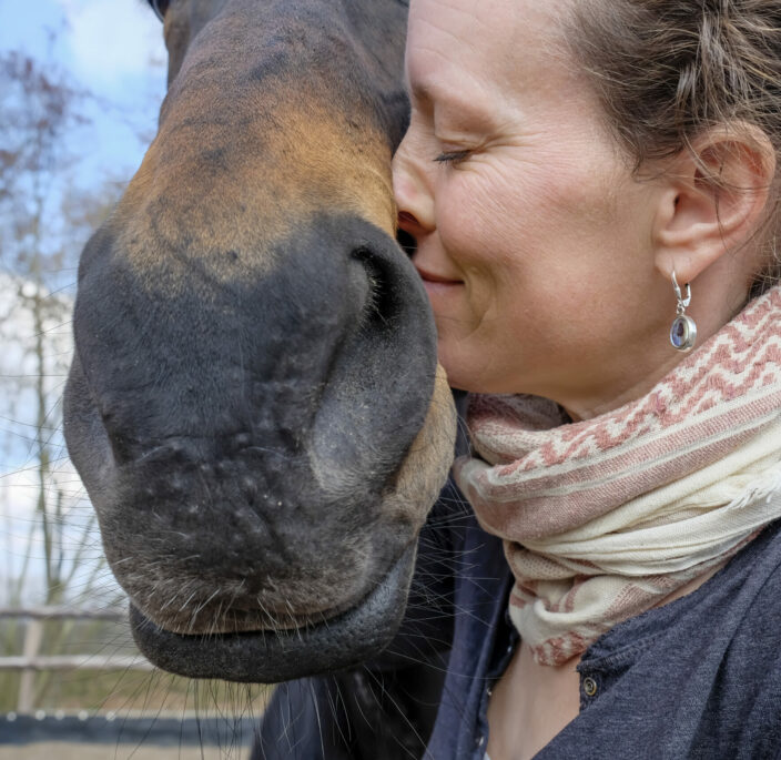 Onlinekurs Atmung Pferde » NANCY HEIBER Pferdetrainerin