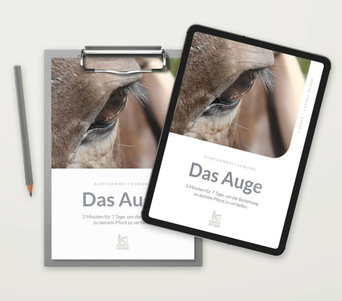 Selbstlernkurse für Pferd und Reiter