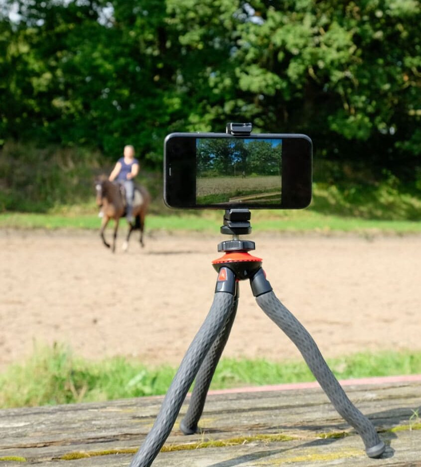 Online Coaching für Pferd und Reiter » NANCY HEIBER Pferdetrainerin